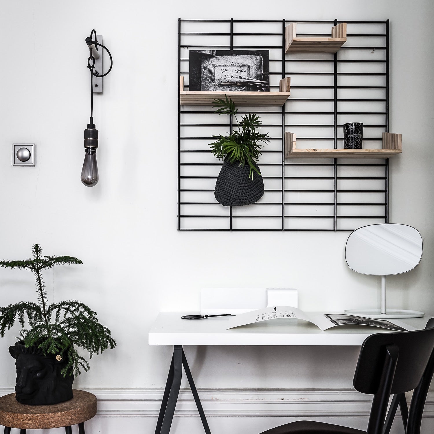 Wandrek systeem Fency 75 x 80 cm kopen? | Tolhuijs Design